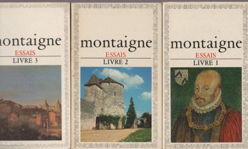 Essais de Montaigne, les enjeux d'une oeuvre majeure