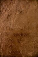 Pronom relatif latin : comprendre et utiliser qui, quae, quod