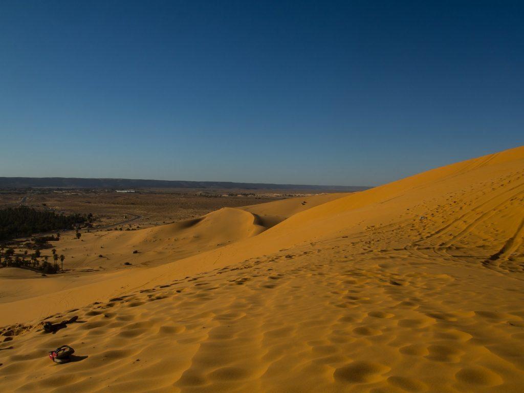 The Living World: Hot Deserts