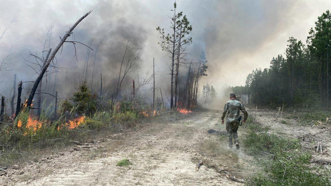 Definitions & Types of Natural Hazards