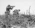 GCSE English Poetry Analysis: Exposure by Wilfred Owen