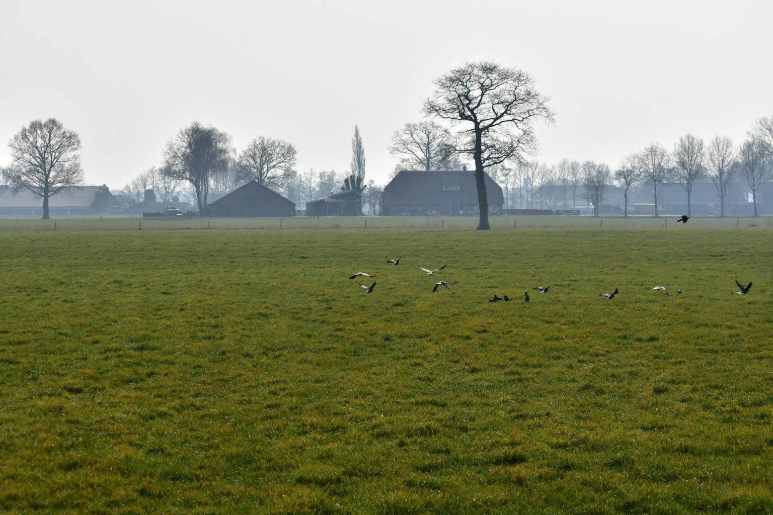 GCSE Poetry Revision: Charlotte Mew, The Farmer’s Bride