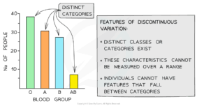 Types of Variation: Discontinuous and Continuous
