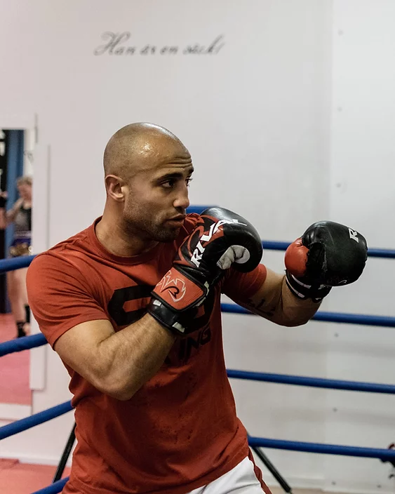 Boxning: dessa är Sveriges bästa boxare | Superprof