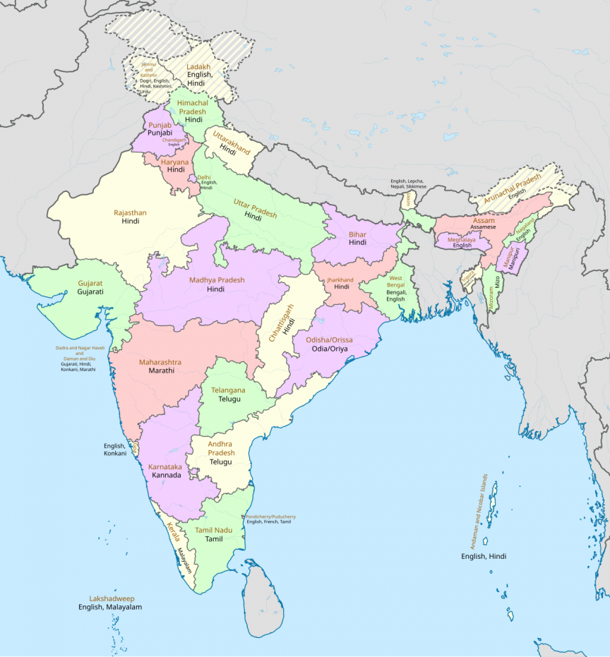 The History of the Hindi Language in India