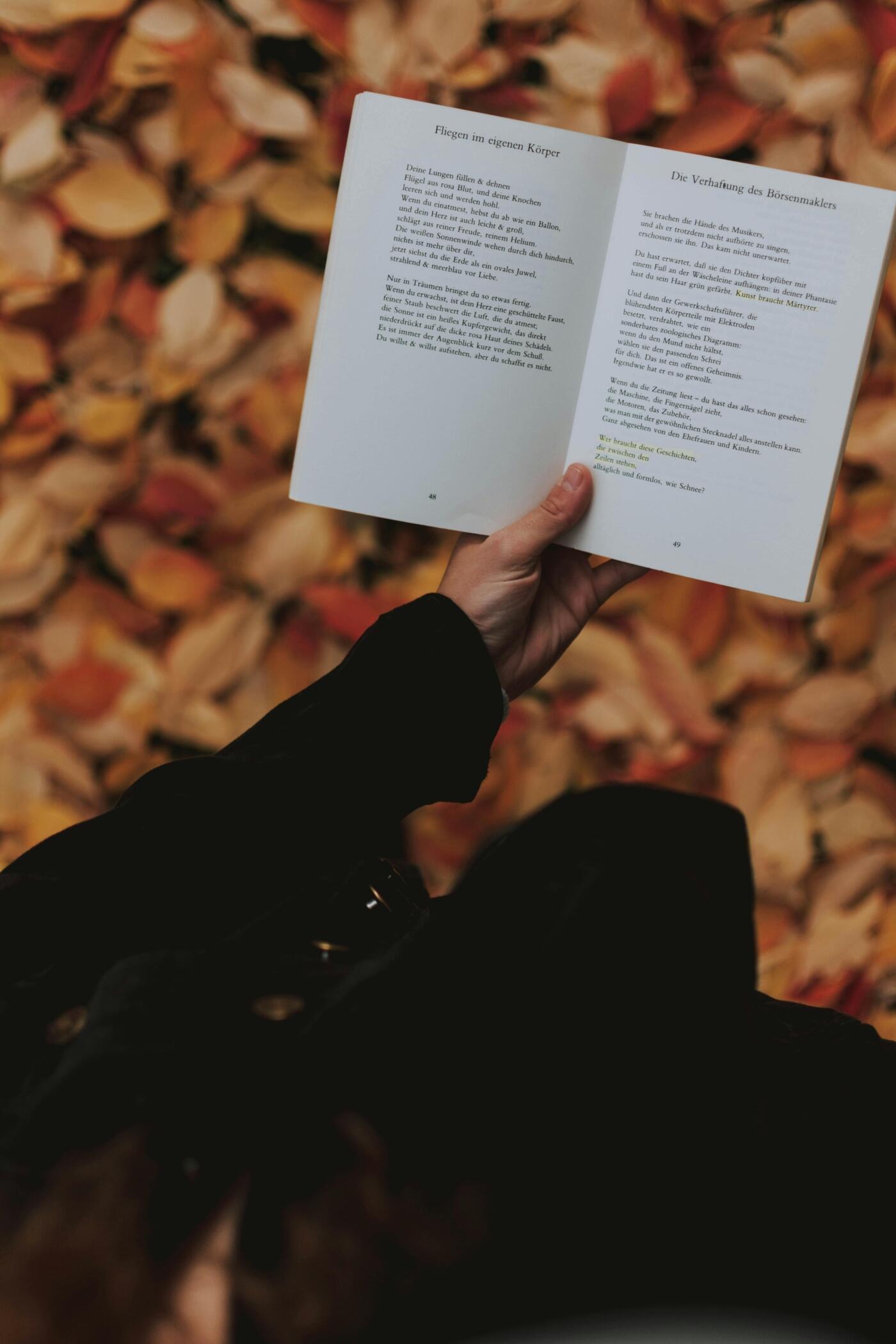 Techniques for Poetry: A Guide to Poetic Techniques and Devices