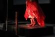 What Does Flamenco Dance Represent? Understanding the Meaning and Symbolism