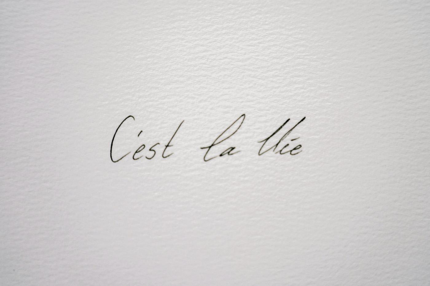 25 Interesting French Quotes for Francophiles