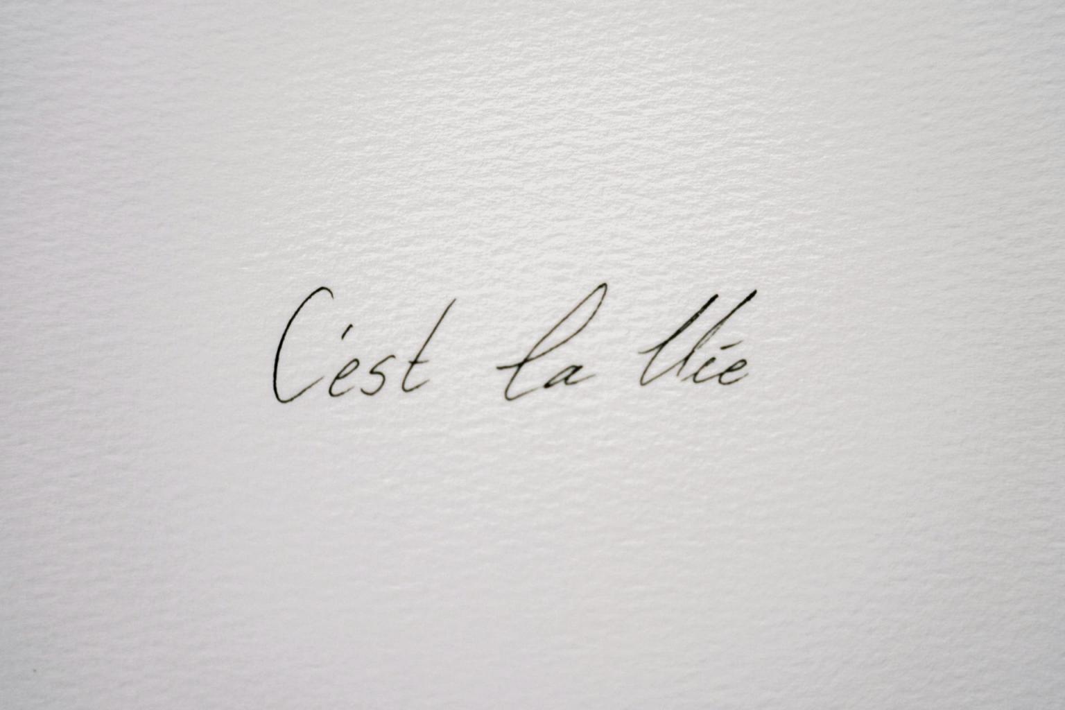 23 Interesting French Quotes for Francophiles