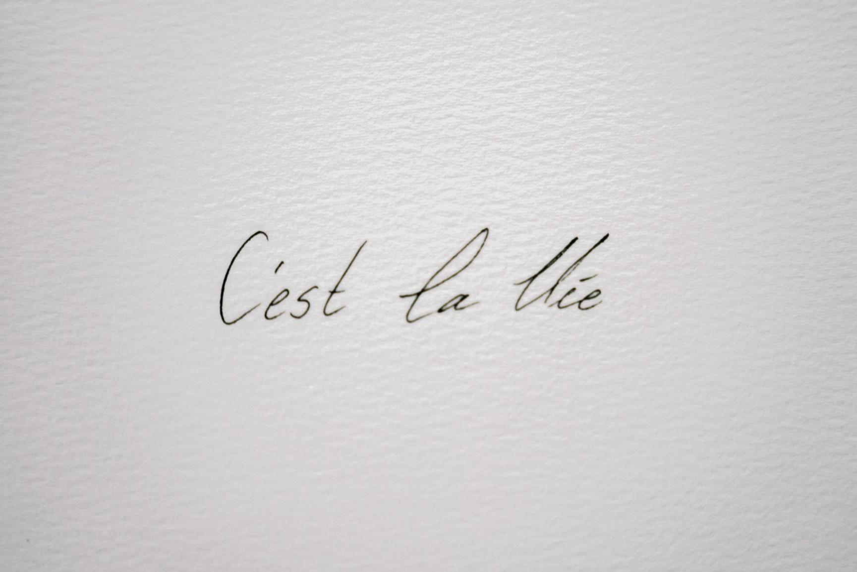 23 Interesting French Quotes for Francophiles