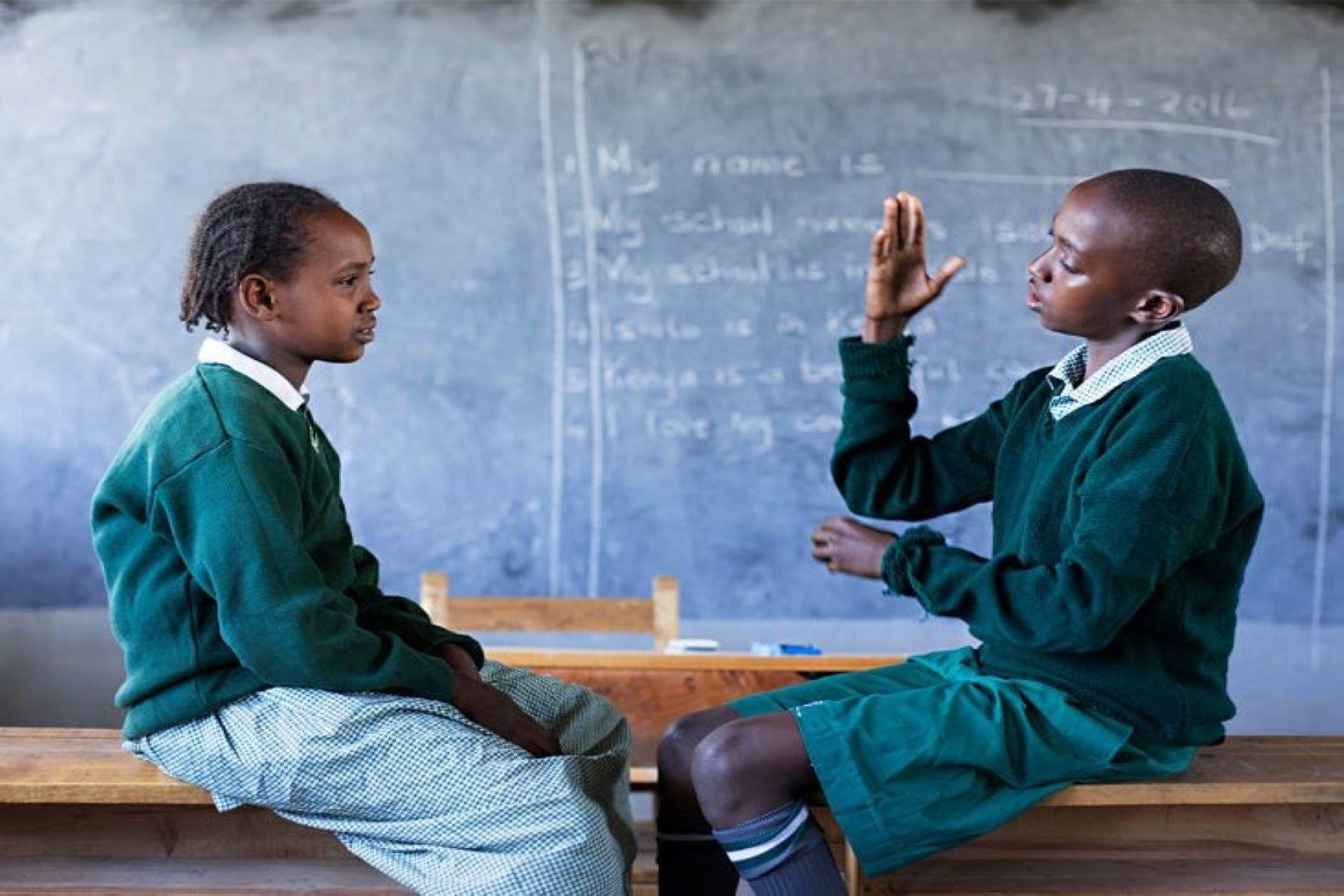 What are the Elements of sign language?