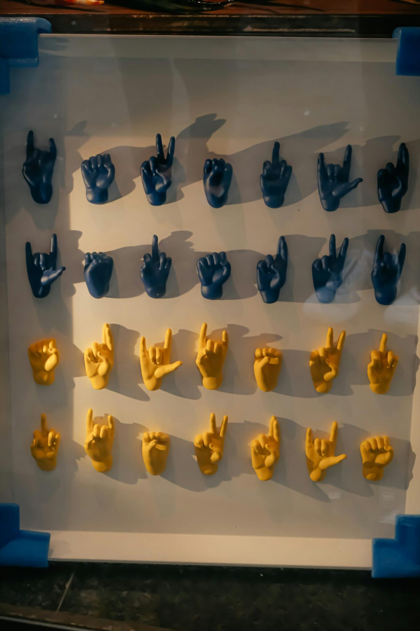 What Are the Elements of Sign Language?