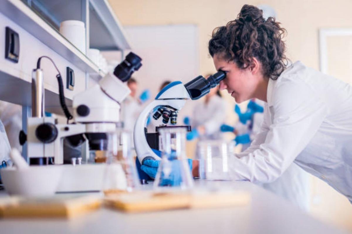 What Are the Different Branches of Biotechnology?