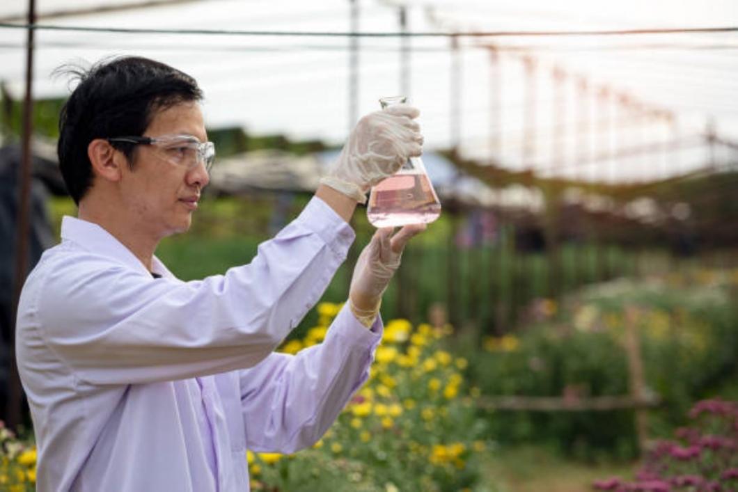 What Are the Different Branches of Biotechnology?