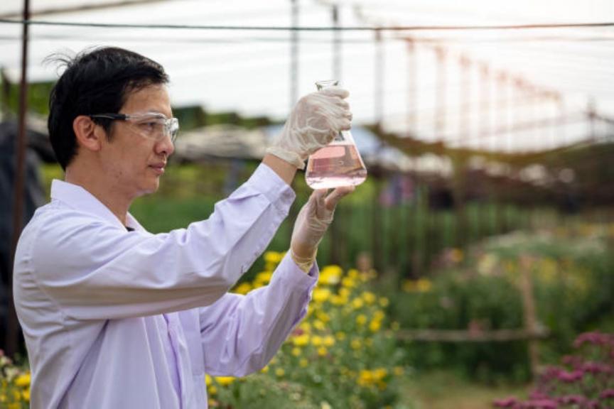 What Are the Different Branches of Biotechnology?