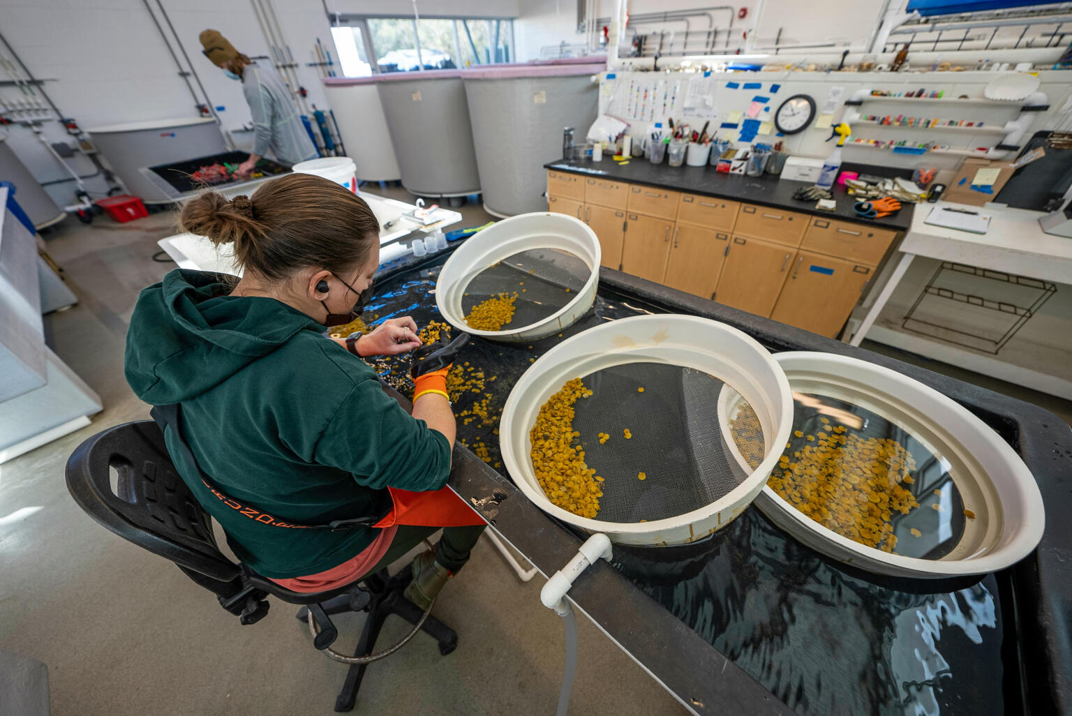 How Long Does It Take to Get a Marine Biology Degree?