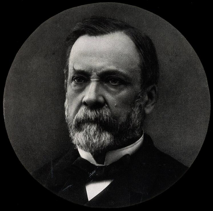 The Most Influential and Famous Immunologists in the World