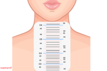 Vocal Range Test: Discover the Best Range For You