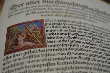 The Latin Alphabet: History and Evolution