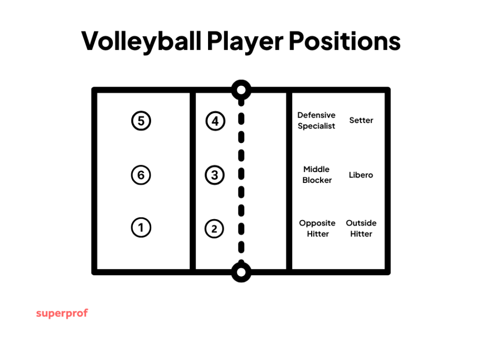 Understanding the Six Volleyball Positions on the Court