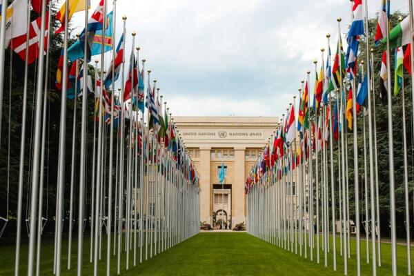 United Nations Quiz: Explore the Role of the UN in the World