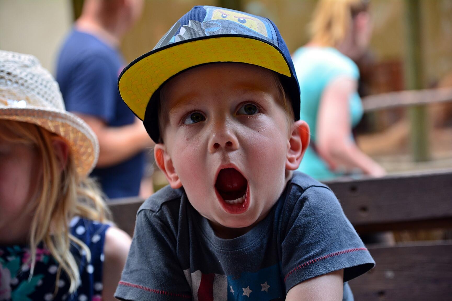 Vocal Warm Ups for Kids: 10 Fun Exercises to Try