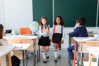 What is the CAPS Curriculum?